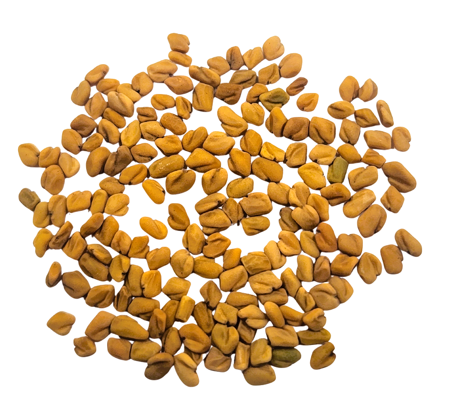 Fenugreek - Herbal Tea – Point Loma Tea