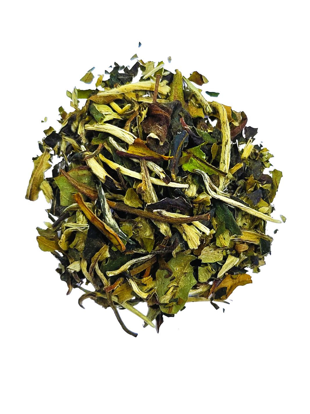 Entire Tea Collection – Point Loma Tea